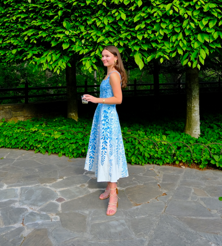 Meet Carly Van Dyke, Fashion & Lifestyle Creator – MESTIZA NEW YORK